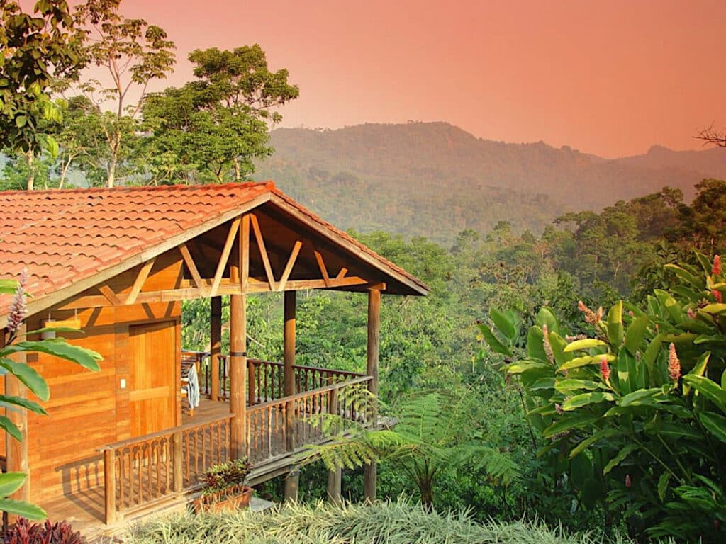 Mexico – Finca Irlanda – Karma Coffee